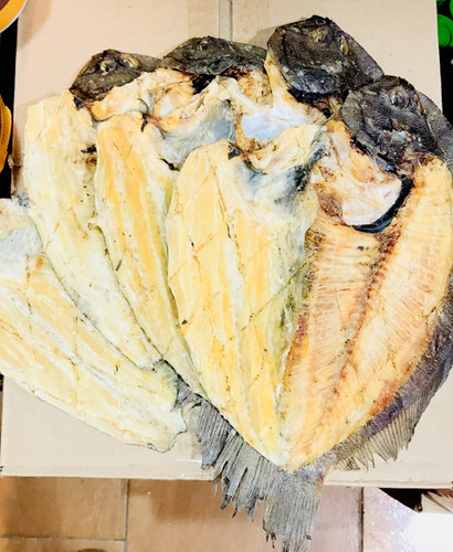 Dried Flounder Fish 大地魚 16oz | Wing Fung Store