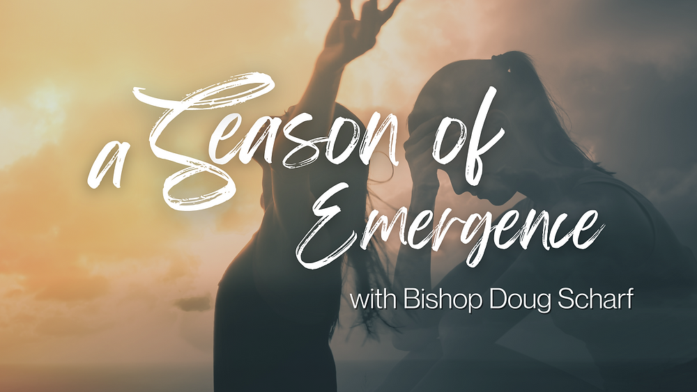 A Season of Emergence