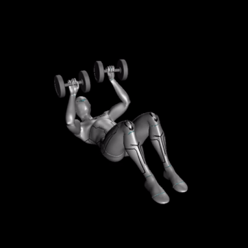 Dumbbell Floor Press Animation Library | Animation LibraryAnimation Library