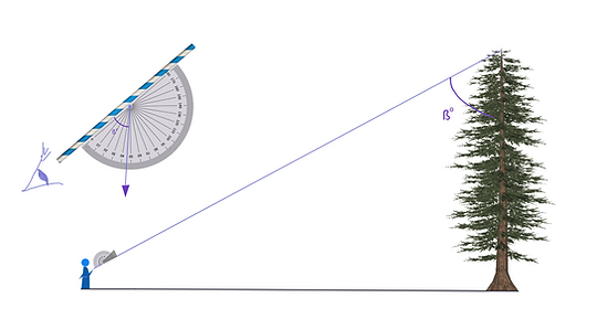 Playground Math | Math Fan