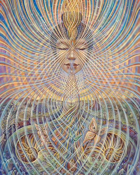 A Soma do Holismo: Novembro 2017