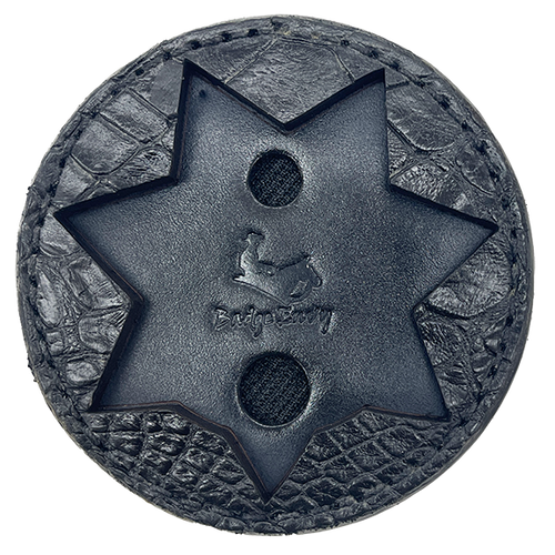 California -CHP | Badge Envy