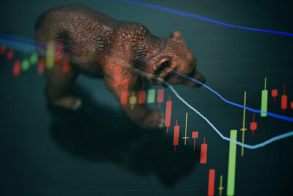 The Importance of a Diversified Portfolio During a Bear Market