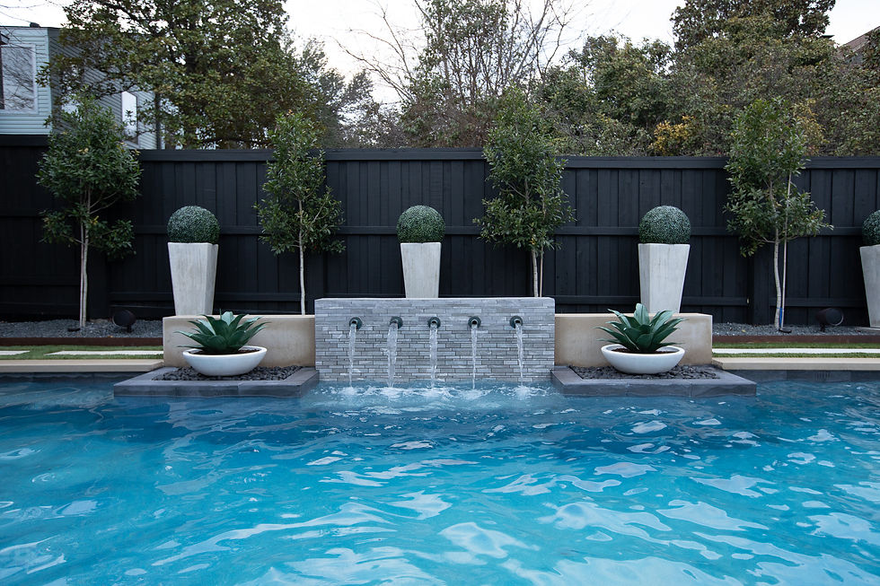 Modern Landscaping Dallas Projects Designed by SCAPES