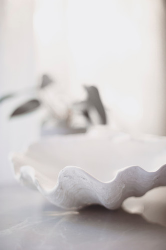 Giant clamshell display bowl | The Lovers Eclectica