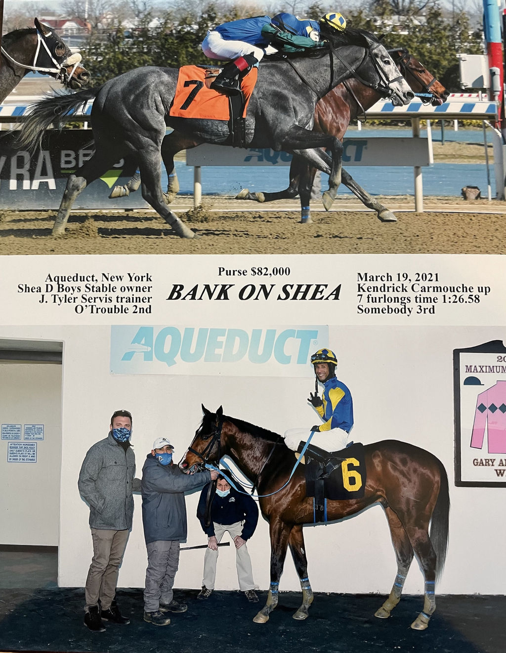 Thoroughbred Racing | Shea D Boys Stable