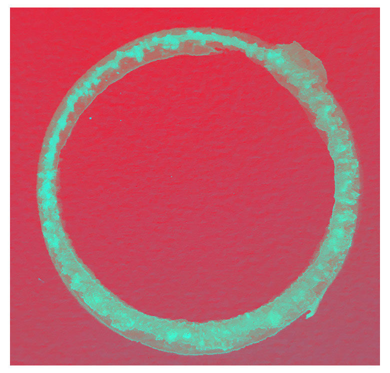 Il ciclo del 15M e il ceto medio