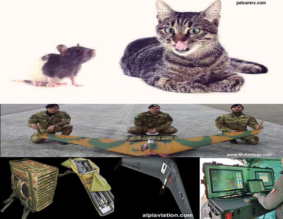 Italian Intelligence Watchdog Flags Small, Sneaky Foreign Takeovers In ...