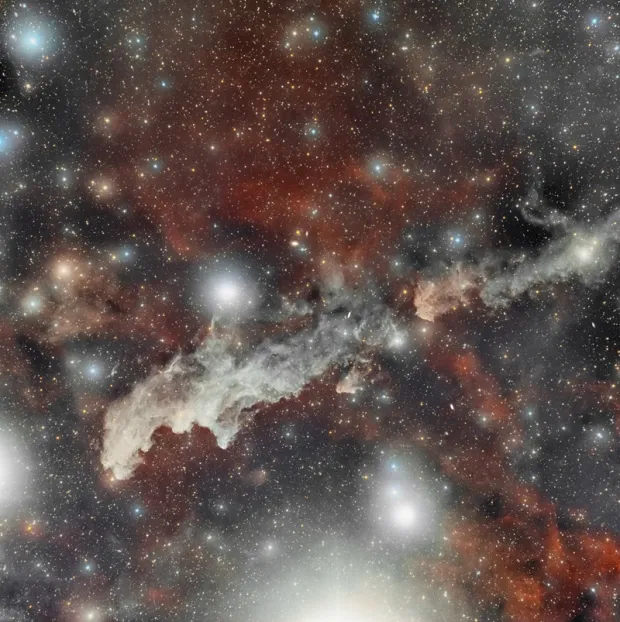 Learning Zone | Amore Designs