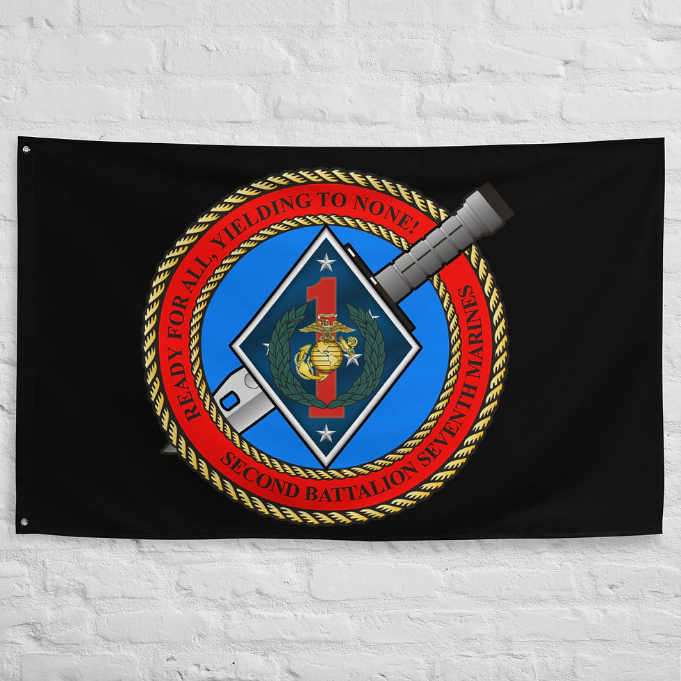 2nd Battalion 7th Marines Flag | Eight Point 03xx