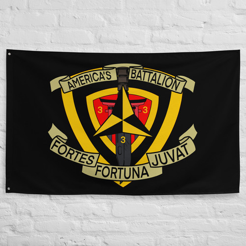 3rd Battalion 3rd Marines Flag | Eight Point 03xx