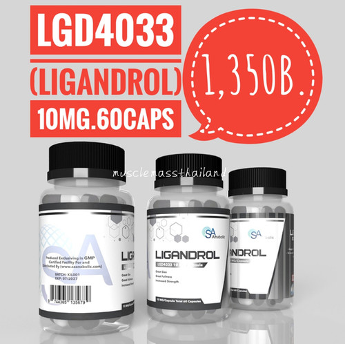 Ligandrol LGD 4033 10mg/50tabs | MUSCLEMASSTHAILAND