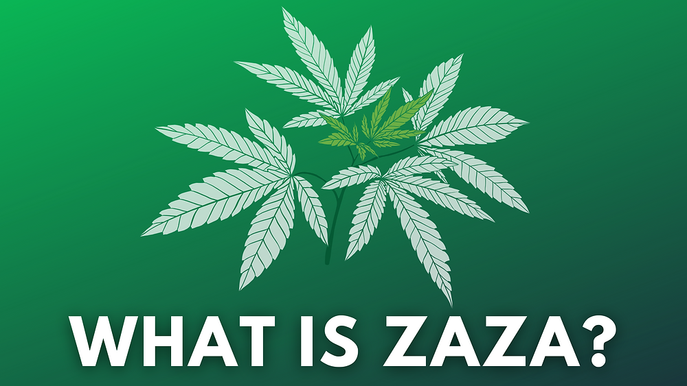 What Is Zaza? Discover the Buzz About Premium Marijuana