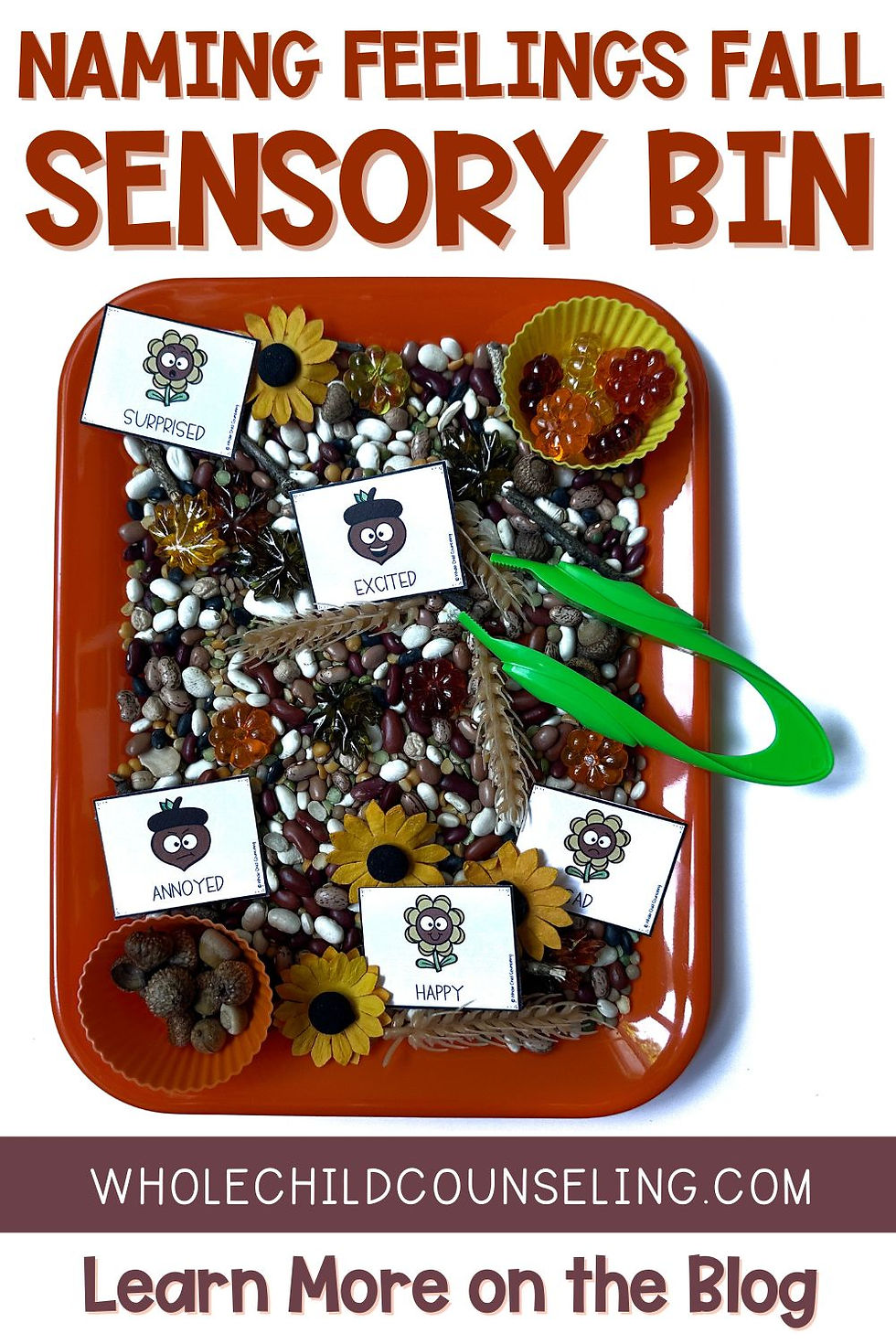 Fall and Halloween Sensory Bins and Dough Activities to Explore Feelings
