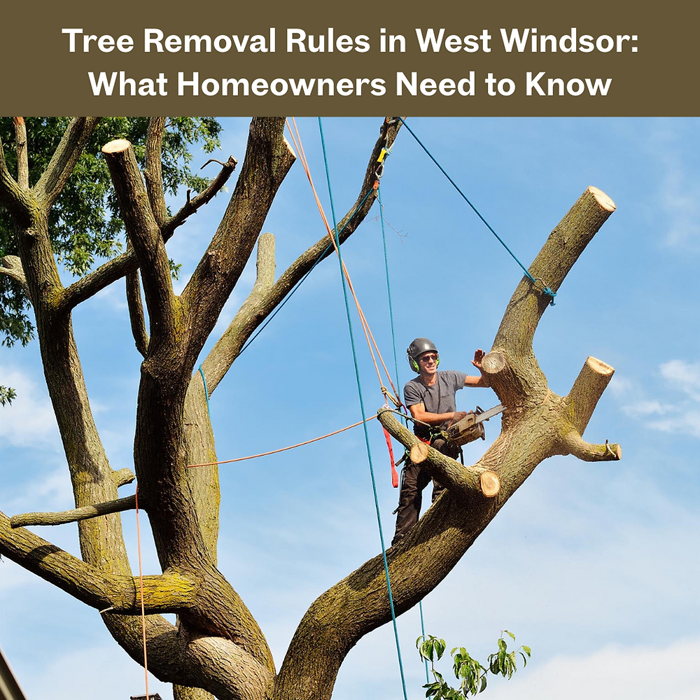 tree cutting rules