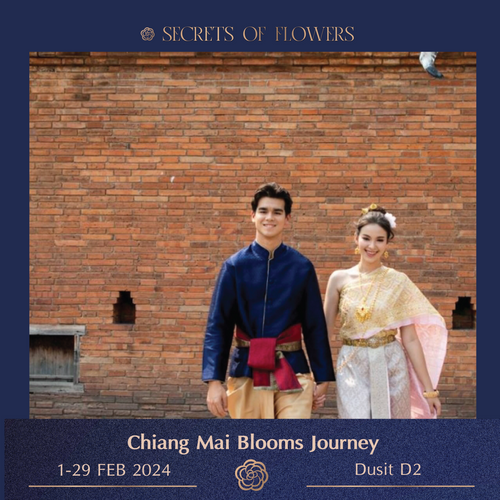 Blooms Journey : dusitD2 Chiang Mai | Visit Lanna