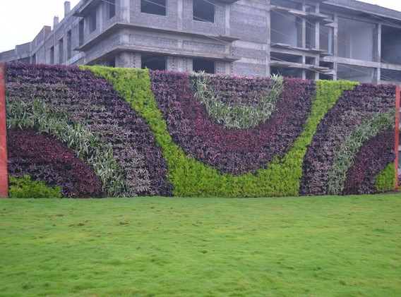 Vertigrow Biowall Panel | sanjaynursery