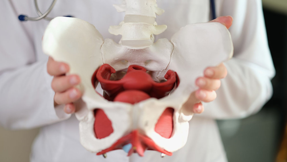 Understanding Pelvic Floor Dysfunction: Causes, Symptoms, and Treatment ...