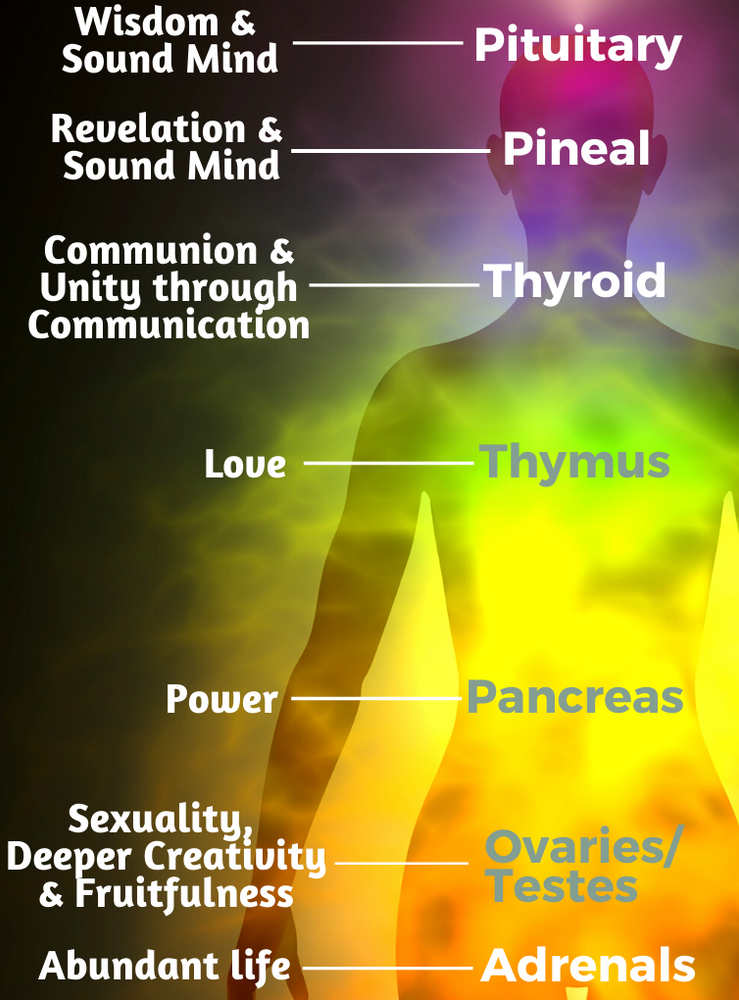 Chakras & The Archangels (And Science!)