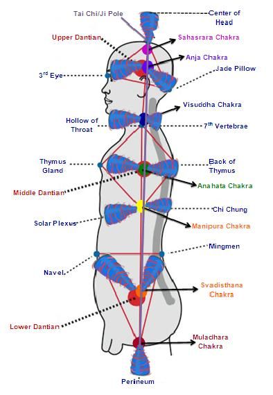 Chakras, Meridians, and Dantians