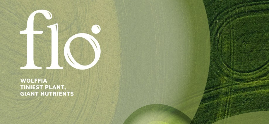 Tiniest Plant, Giant Nutrients | flo Wolffia