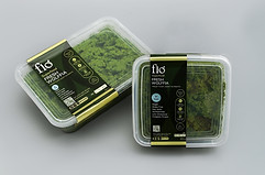 Tiniest Plant, Giant Nutrients | flo Wolffia