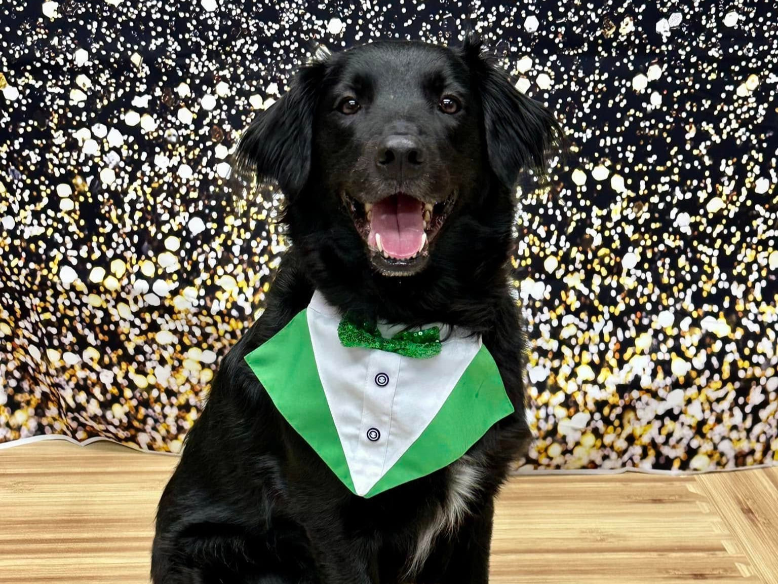 6 Things to Expect From Our 2nd Annual Camp Ruff It Prom