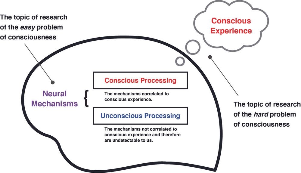 Consciousness – An obstacle to the understanding of intelligence.