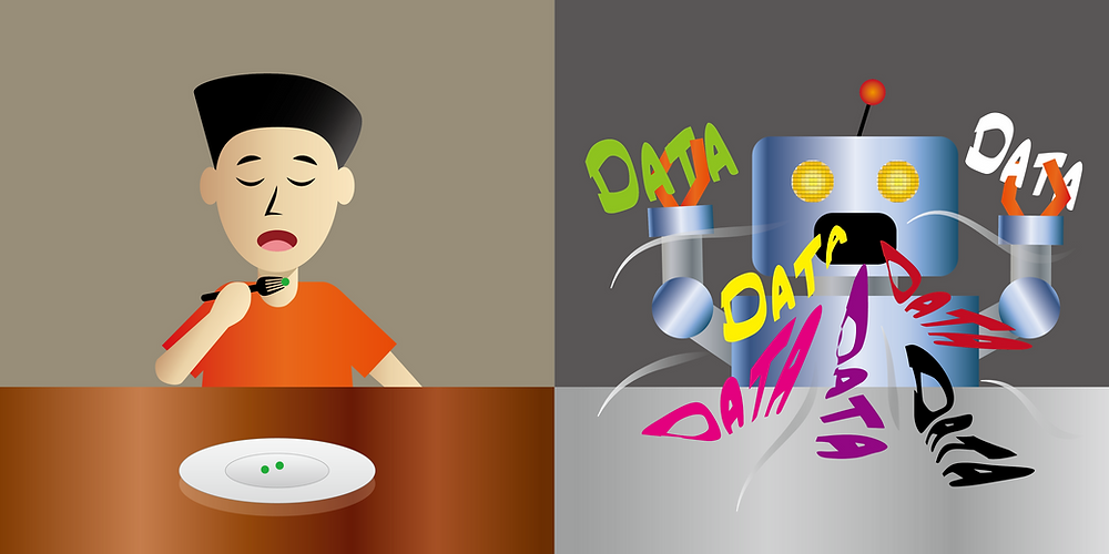 Why human brain only needs a small amount of data (or is it?)