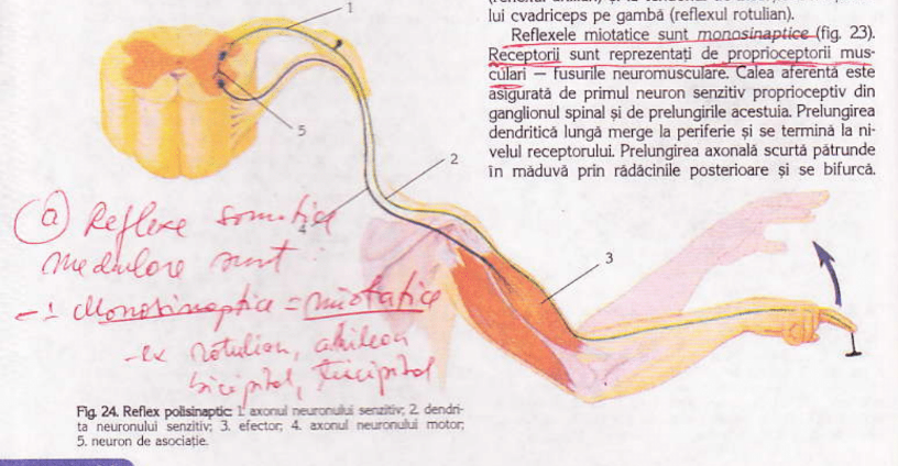 Secretele Corintului - Partea a doua