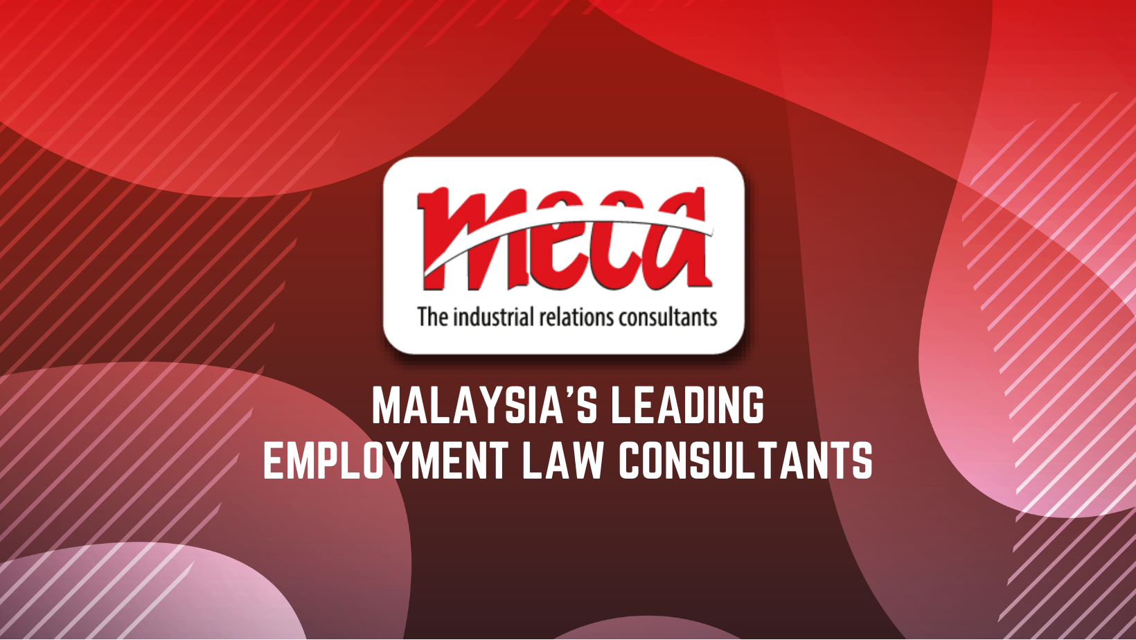 Consultancy2 | MECA