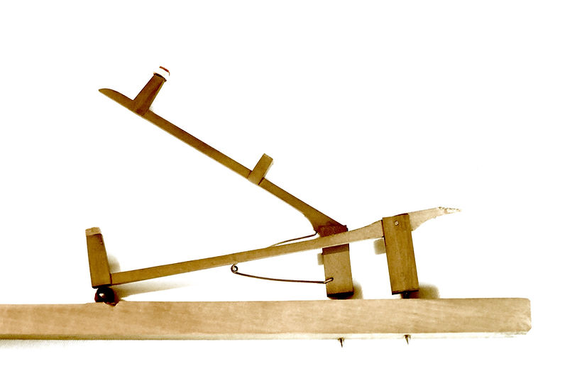 Home | radbon-collection