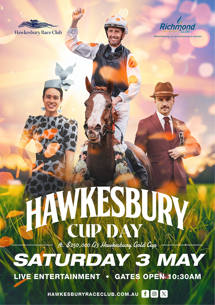 "BANDIT" BACK TO A TRACK HE RACES WELL AT