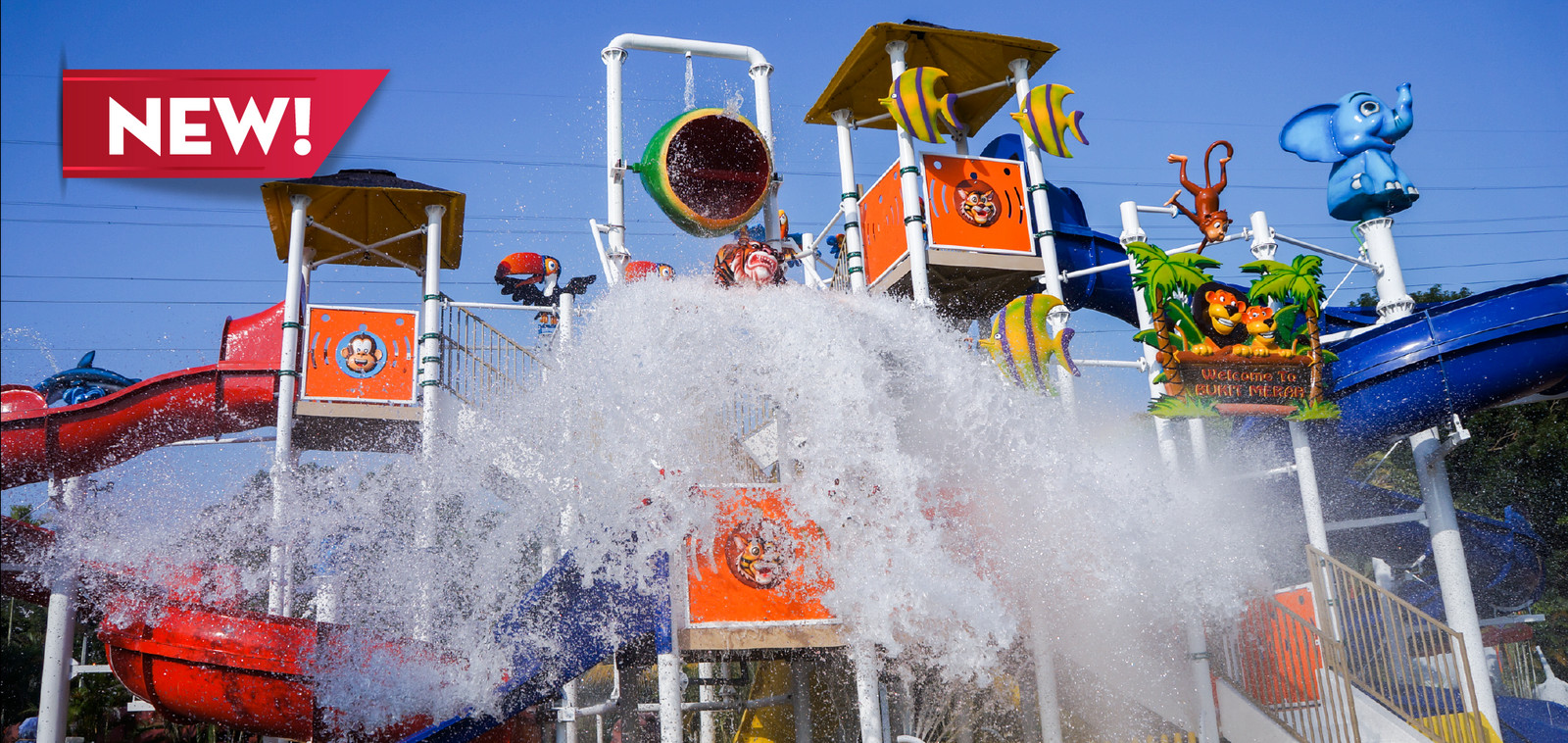 Family Splash Adventure