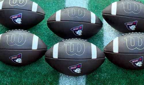 "GST Game Football – Custom Logo & Prepped Team Footballs"