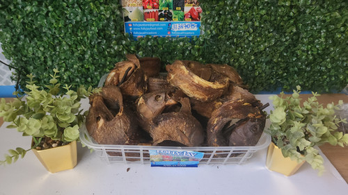 Magala fish | Follyjayafricastore