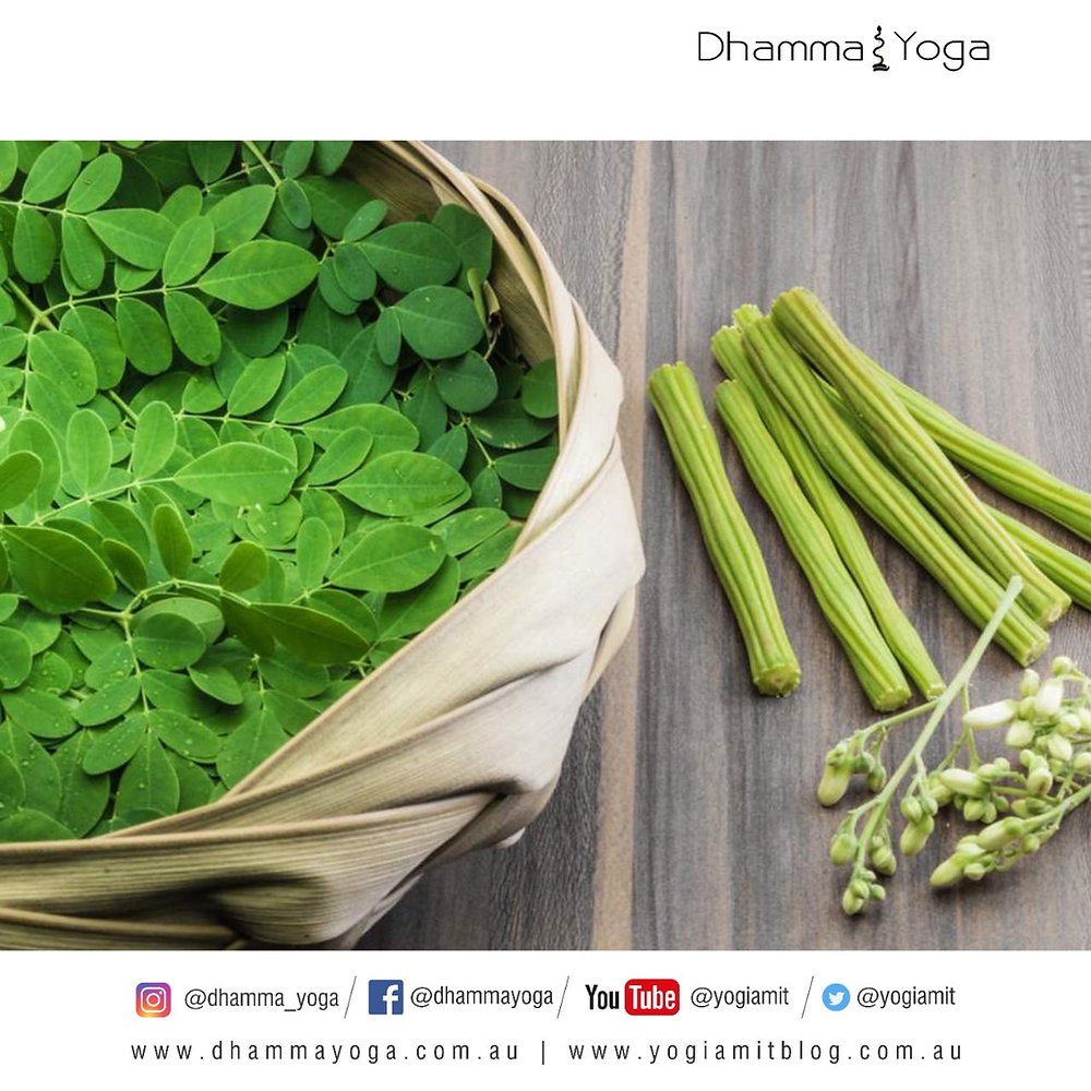 Sigru / drumsticks / Moringa Oleifera