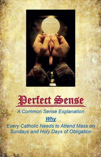 Perfect Sense Pamphlets – 100 Count Bundle | Catholic Made Simple