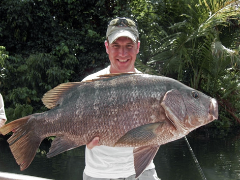 Gallery | Baia Sportfishing PNG