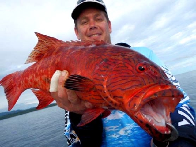 Baia Sportfishing - Everything you need to know!