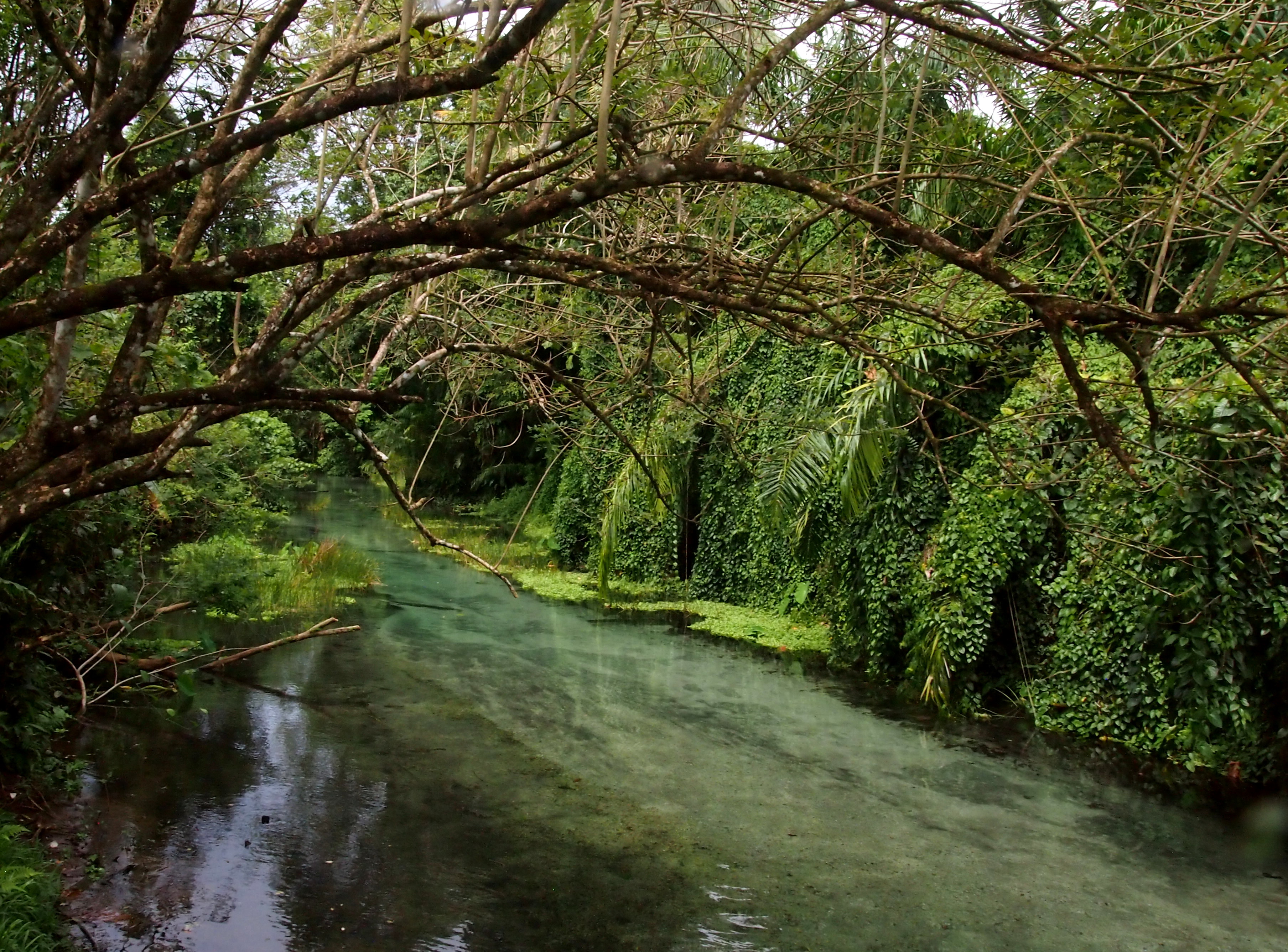 Liamo Reef Resort | Guided Tours