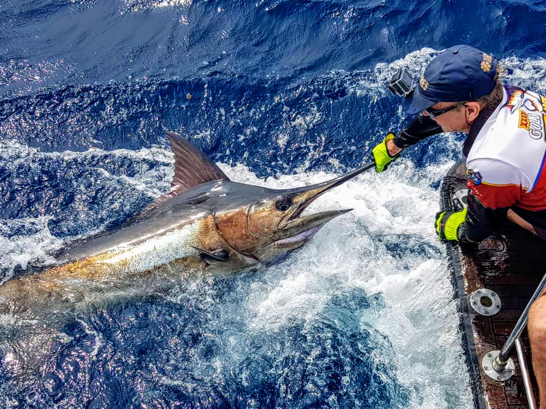 Top 5 Fish to Catch in Papua New Guinea