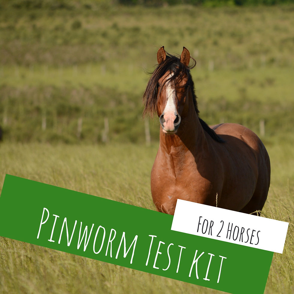 Pinworm Kit For 2 Horses | POOPOST