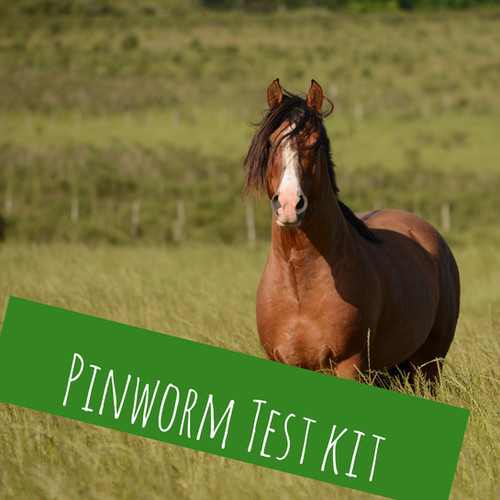 Pinworm Kit For 1 Equine | POOPOST