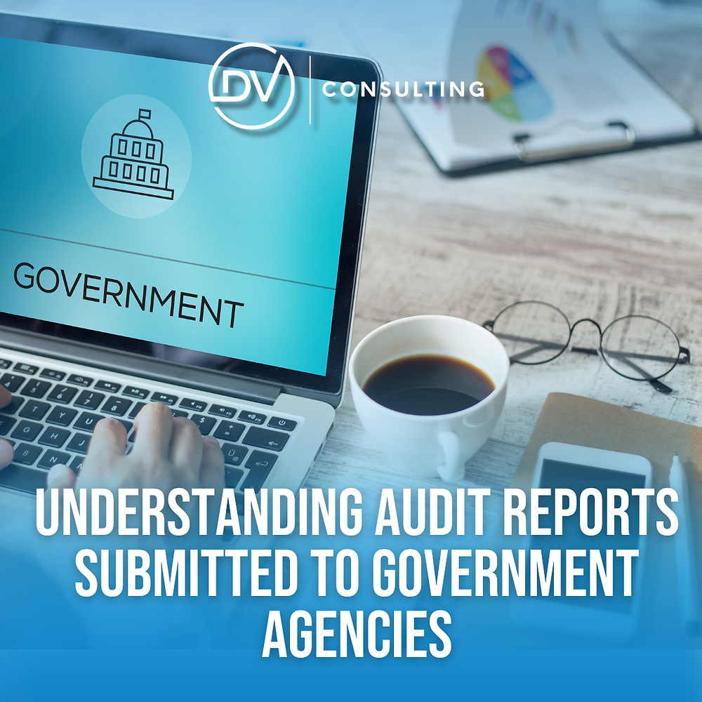 Understanding Audit Reports Submitted to Government Agencies