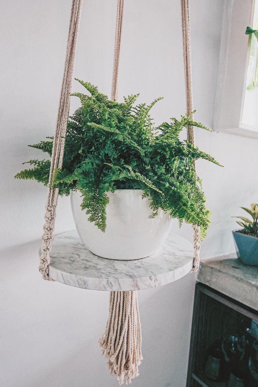 Bar | Matiz | www.galeriamatiz.com | Compra en Línea