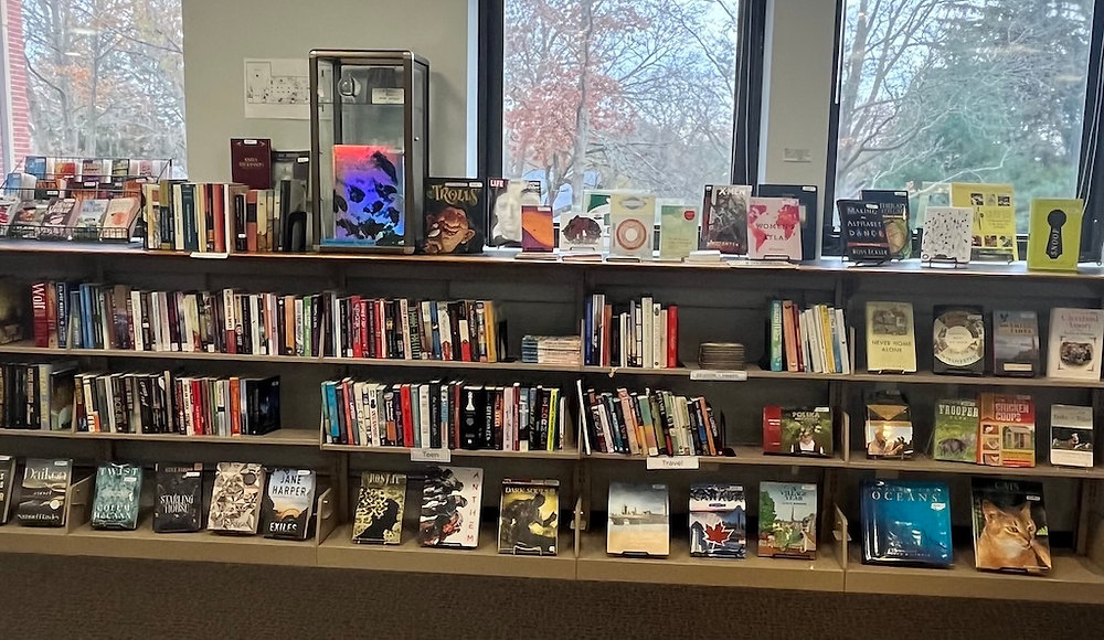 A New Year of Possibility at the Barrington Public Library