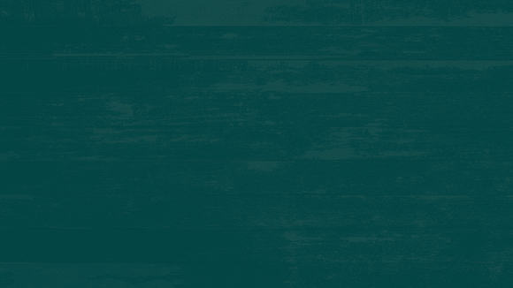 Denver Downs Farm | Spring Season | Anderson, SC