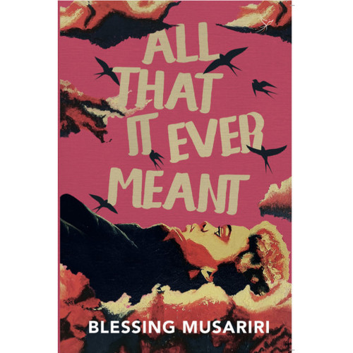 All That It Ever Meant by Blessing Musariri (Ouida) | Soma Nami Books
