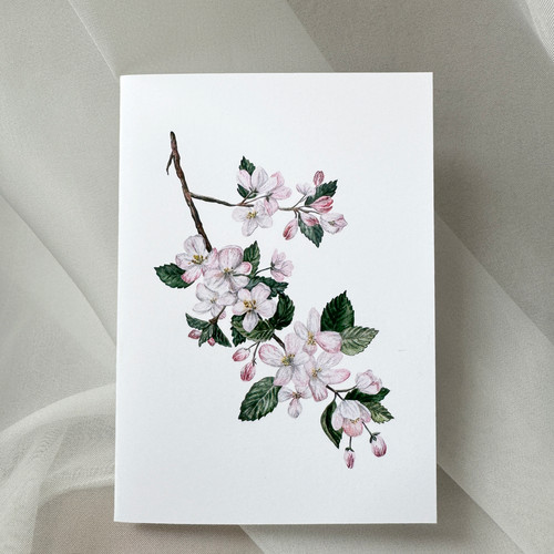 Felicitare - Floare de Mar | Maria Costake